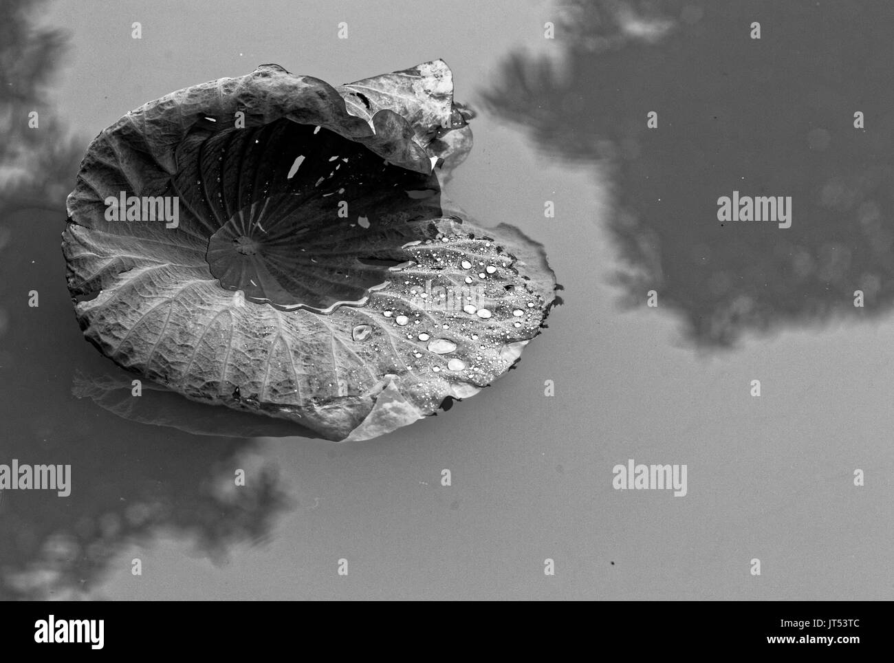 Hanoi Temple Pond Stock Photo - Alamy