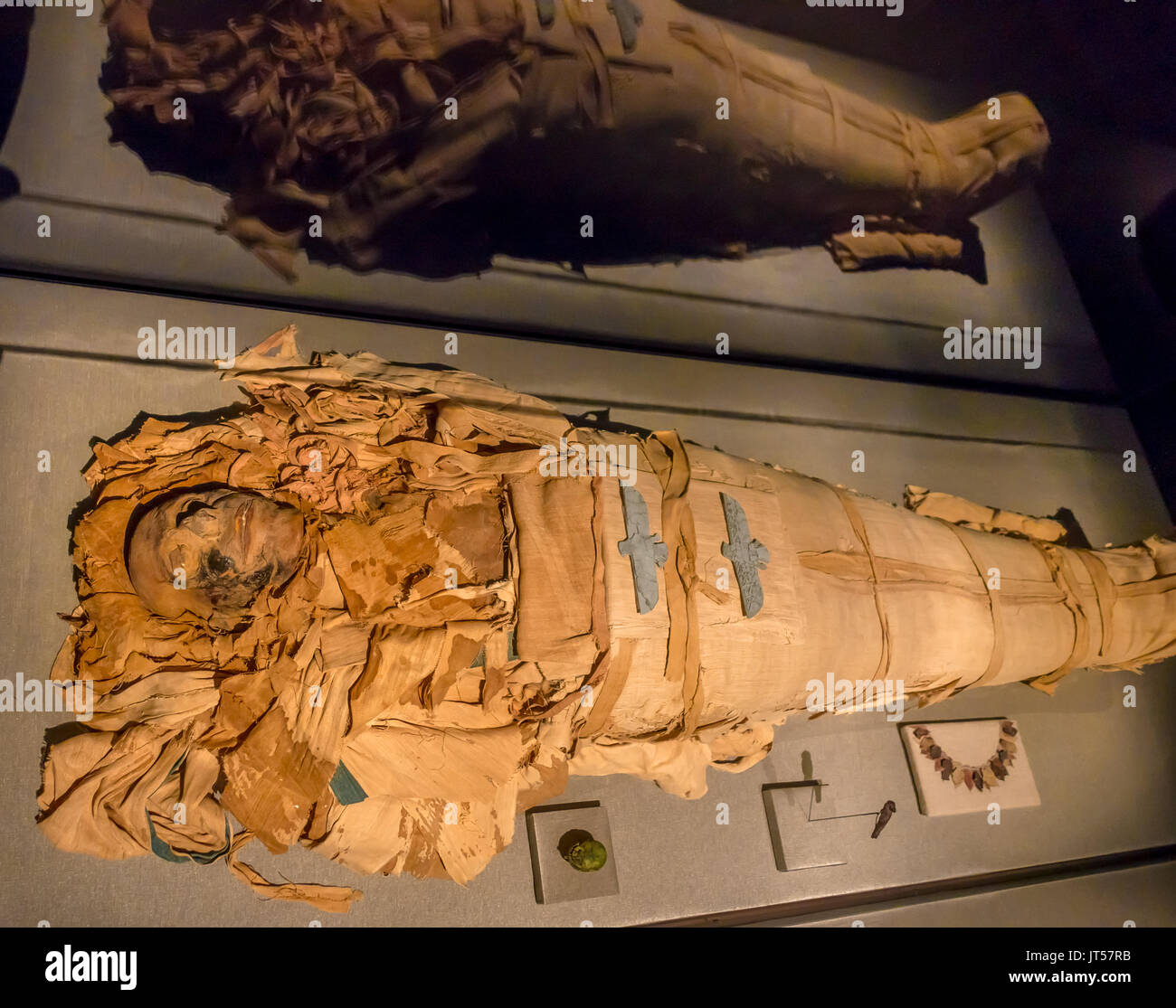 HOUSTON, USA - JANUARY 12, 2017: Close up of an amazing mummy wrapped ...