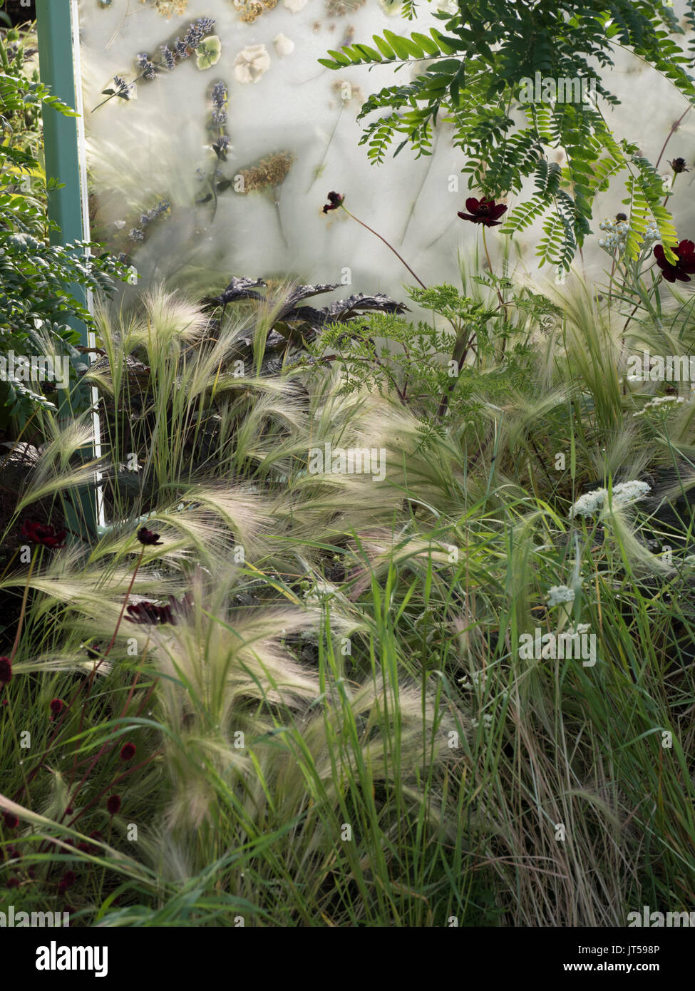 Arrange : Rearrange show garden designed by Anna Rhodes and Joshua ...