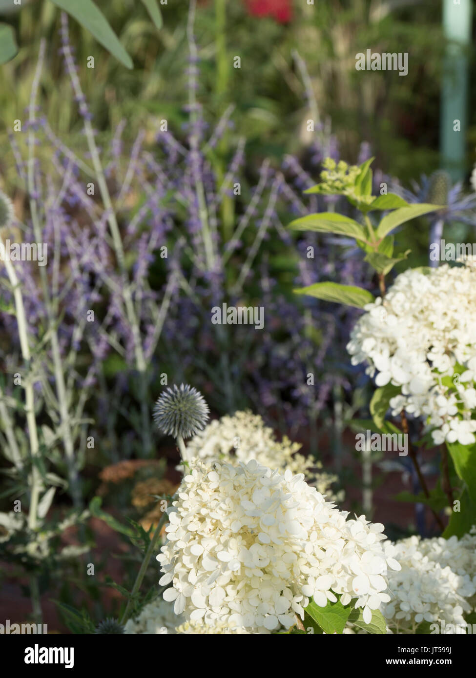 Arrange : Rearrange show garden designed by Anna Rhodes and Joshua ...