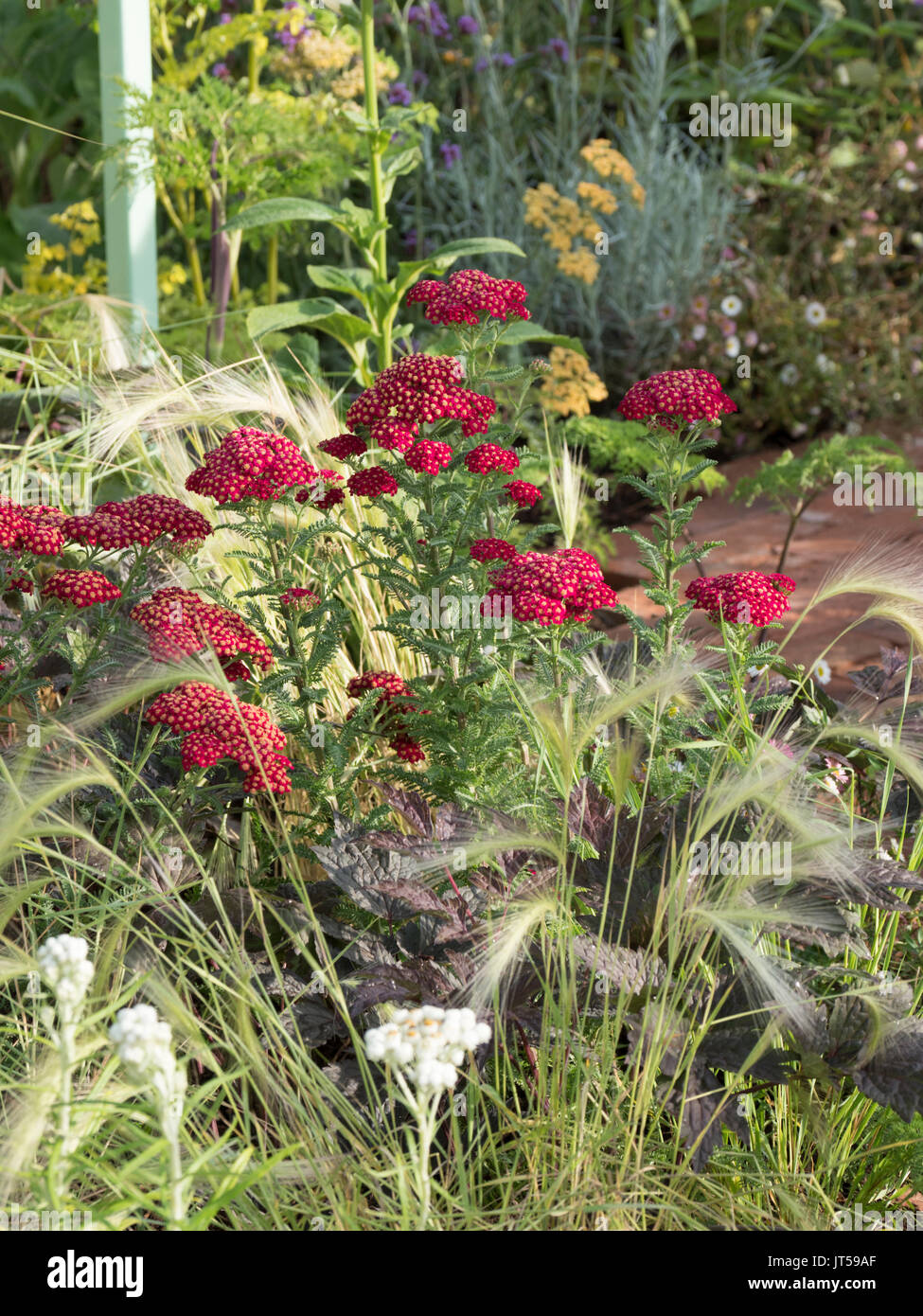 Arrange : Rearrange show garden designed by Anna Rhodes and Joshua ...