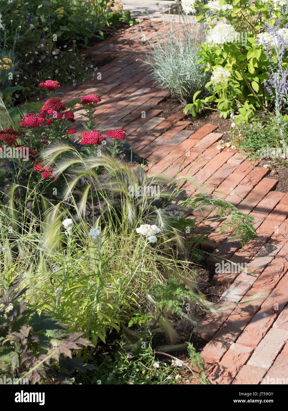 Arrange : Rearrange show garden designed by Anna Rhodes and Joshua ...