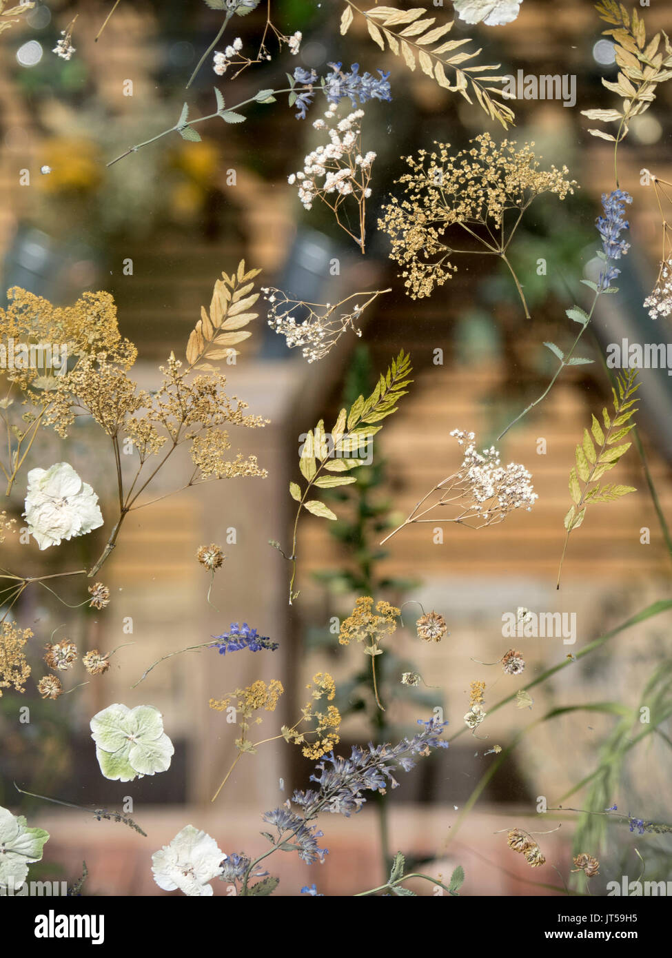 Arrange : Rearrange show garden designed by Anna Rhodes and Joshua ...