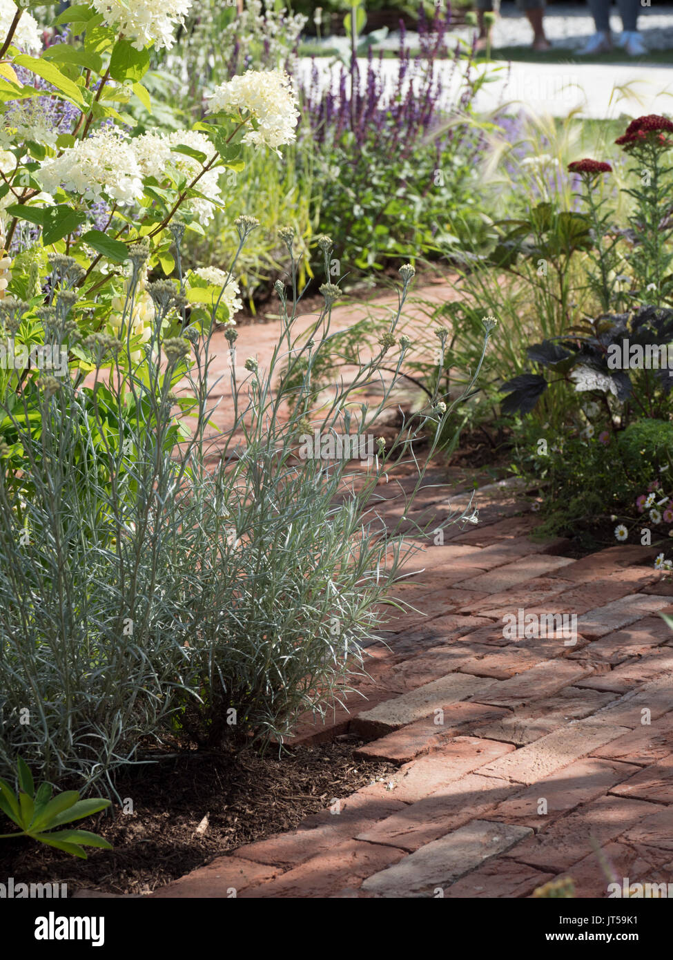 Arrange : Rearrange show garden designed by Anna Rhodes and Joshua ...