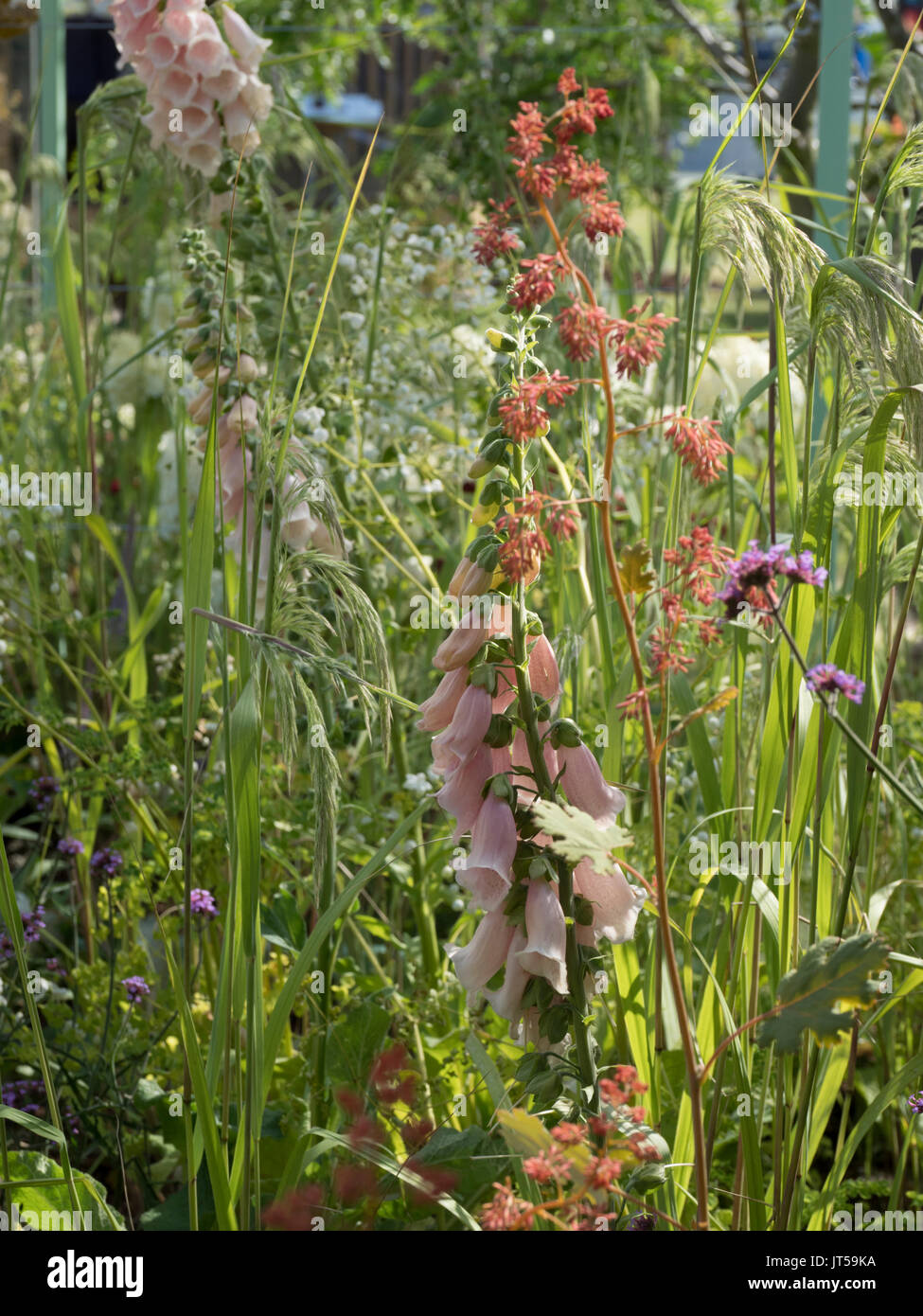 Arrange : Rearrange show garden designed by Anna Rhodes and Joshua ...