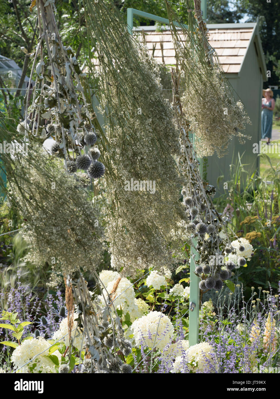 Joshua Mcdonnell High Resolution Stock Photography and Images - Alamy