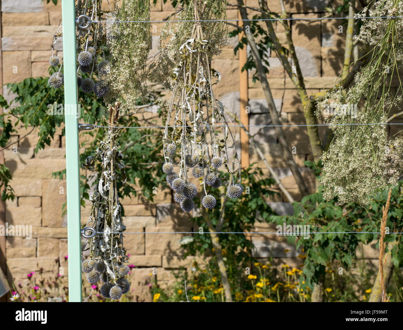 Arrange : Rearrange show garden designed by Anna Rhodes and Joshua ...