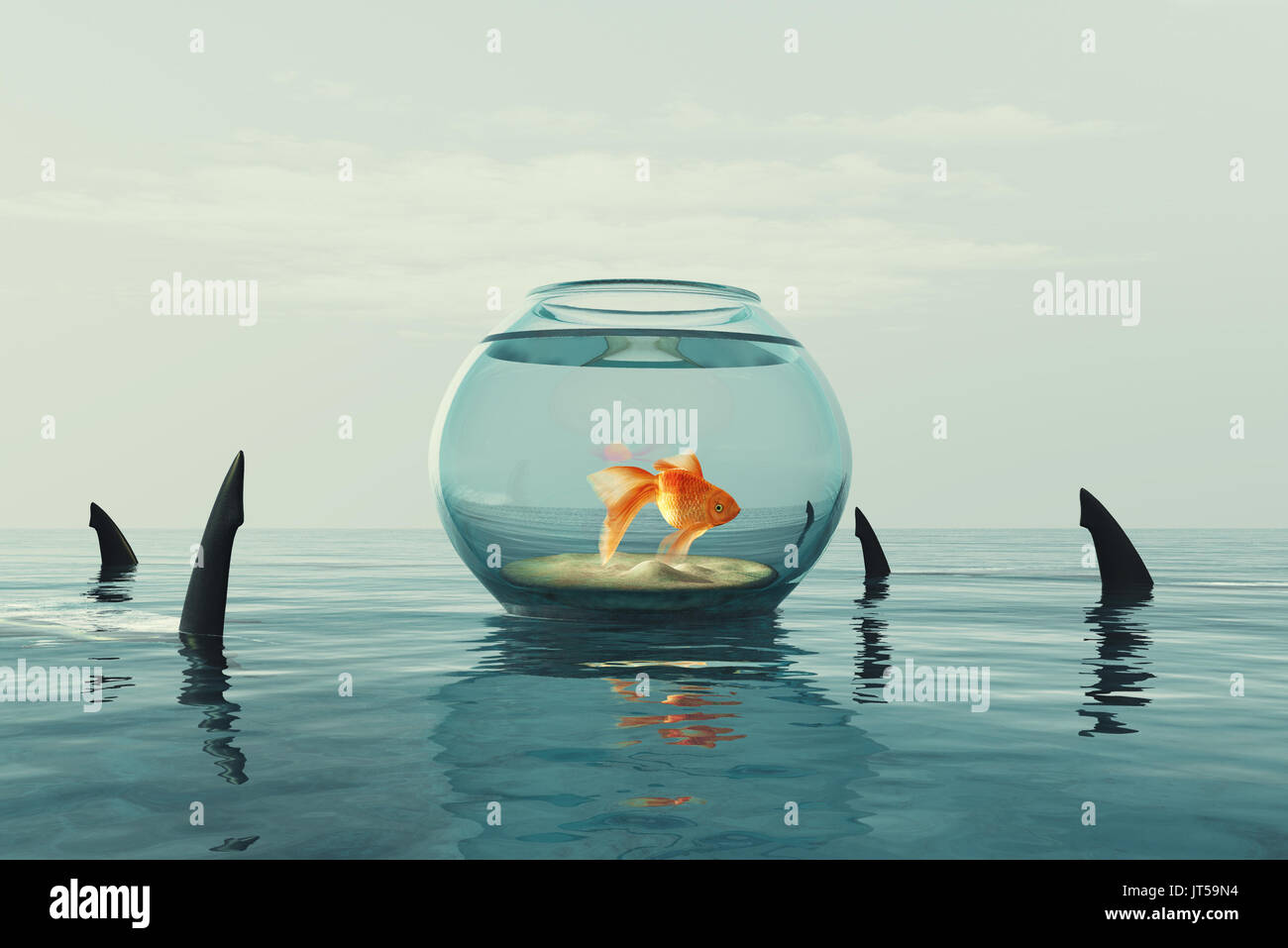 Shark and goldfish hi-res stock photography and images - Alamy