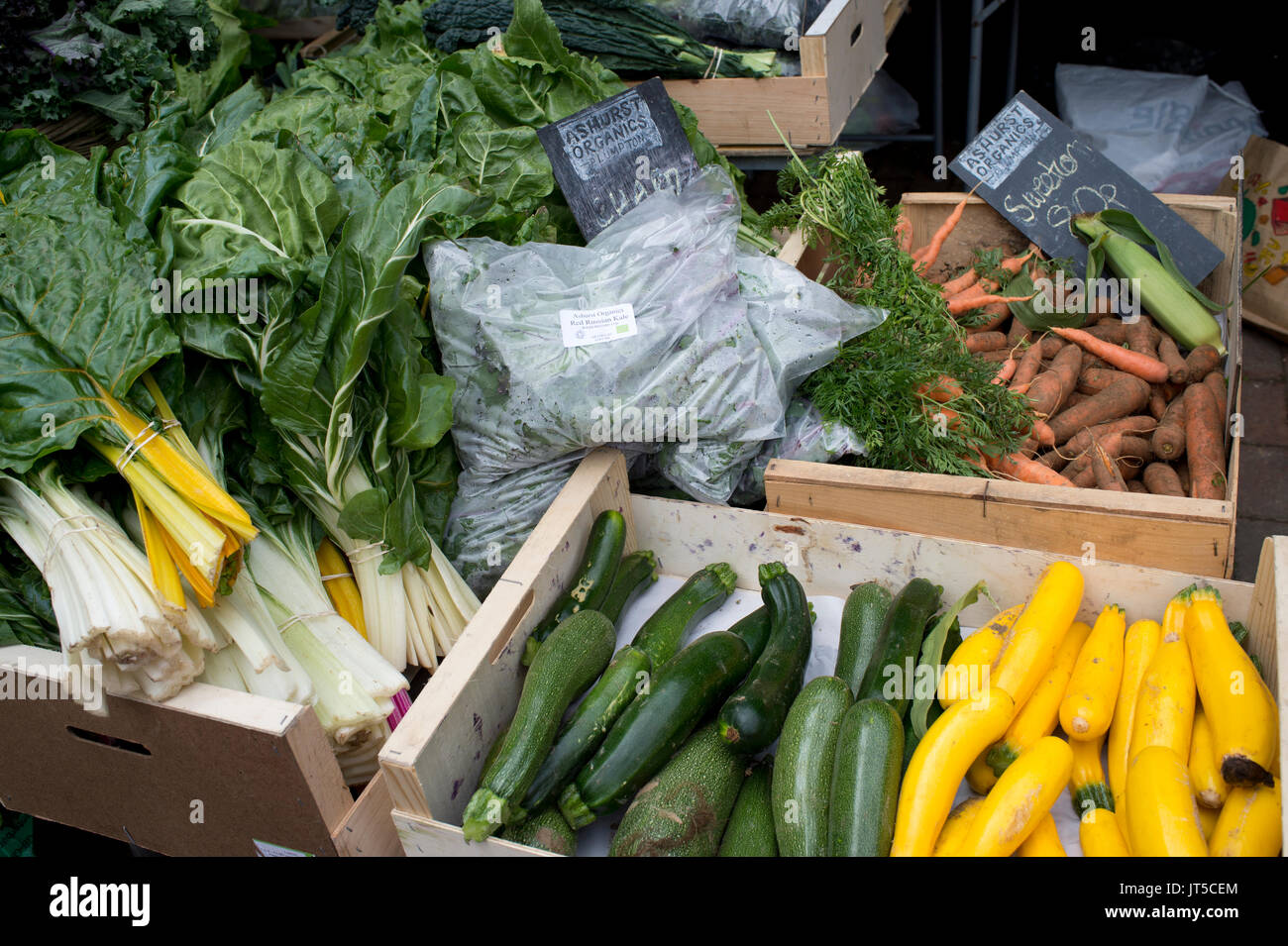 Lewes, Sussex. Friday morning Farmers' market. Fresh courgettes, chard ...