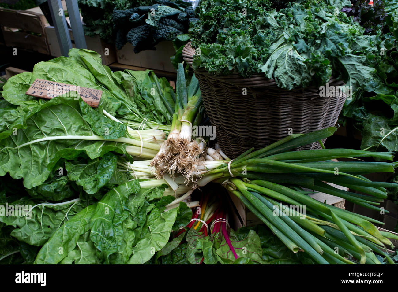 Lewes, Sussex. Friday morning Farmers' market. Fresh chard and spring ...