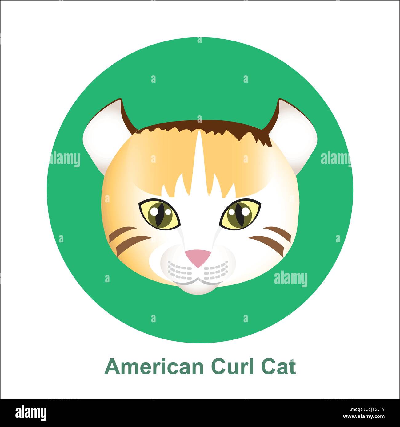 Colorful Cartoon American Curl Cat in Circle, happy and running on ...