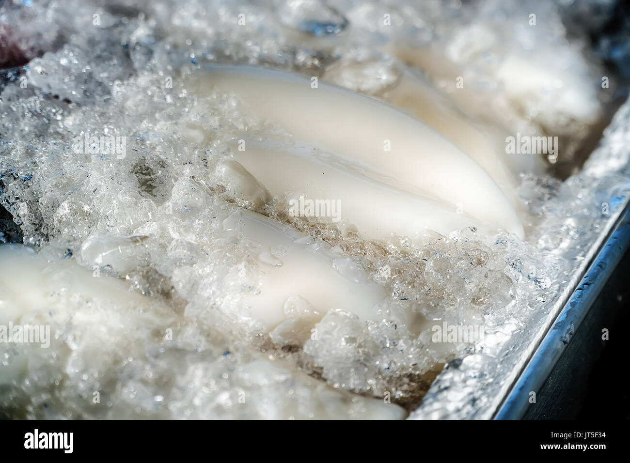 Squids ice hi-res stock photography and images - Alamy