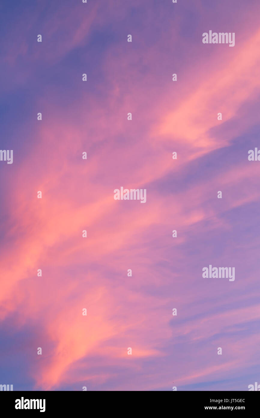 Bright pink clouds at sunset Stock Photo - Alamy