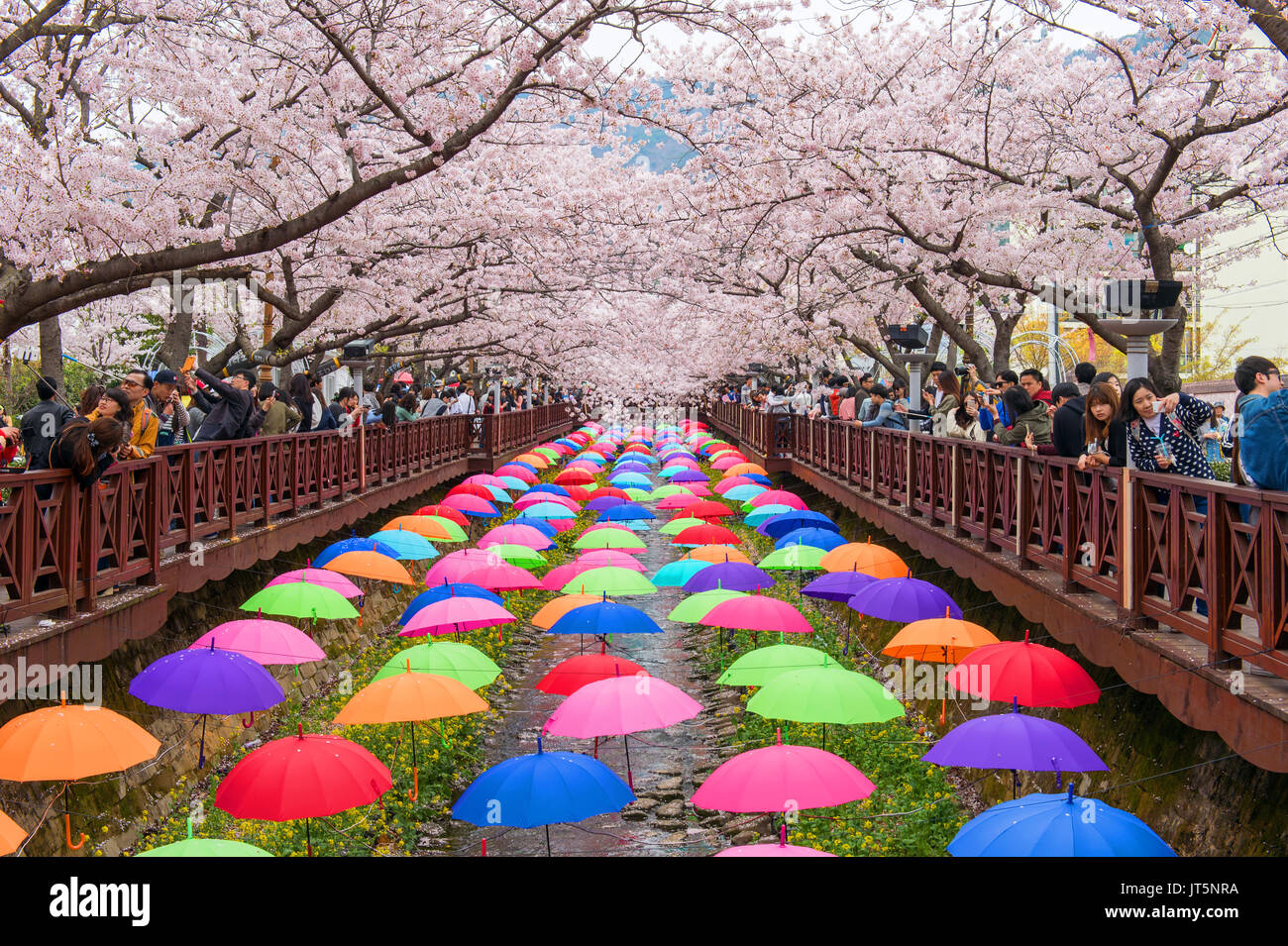 JINHAE,KOREA - APRIL 4 : Jinhae Gunhangje Festival is the largest ...