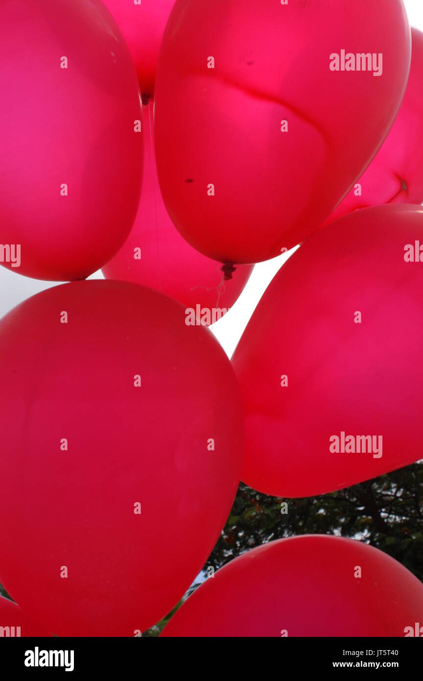 Air Balloons in a function Stock Photo - Alamy