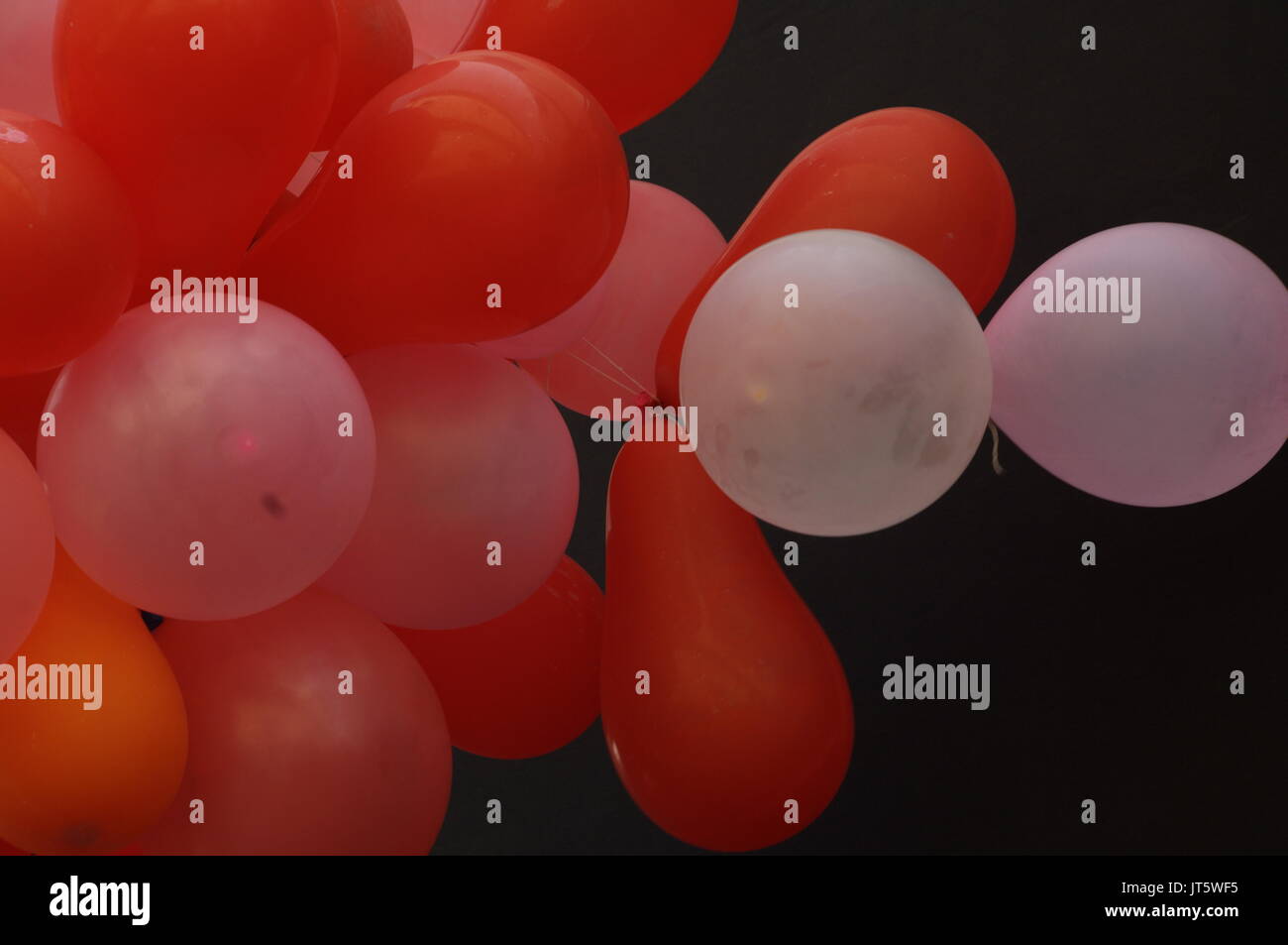 Air Balloons in a function Stock Photo - Alamy