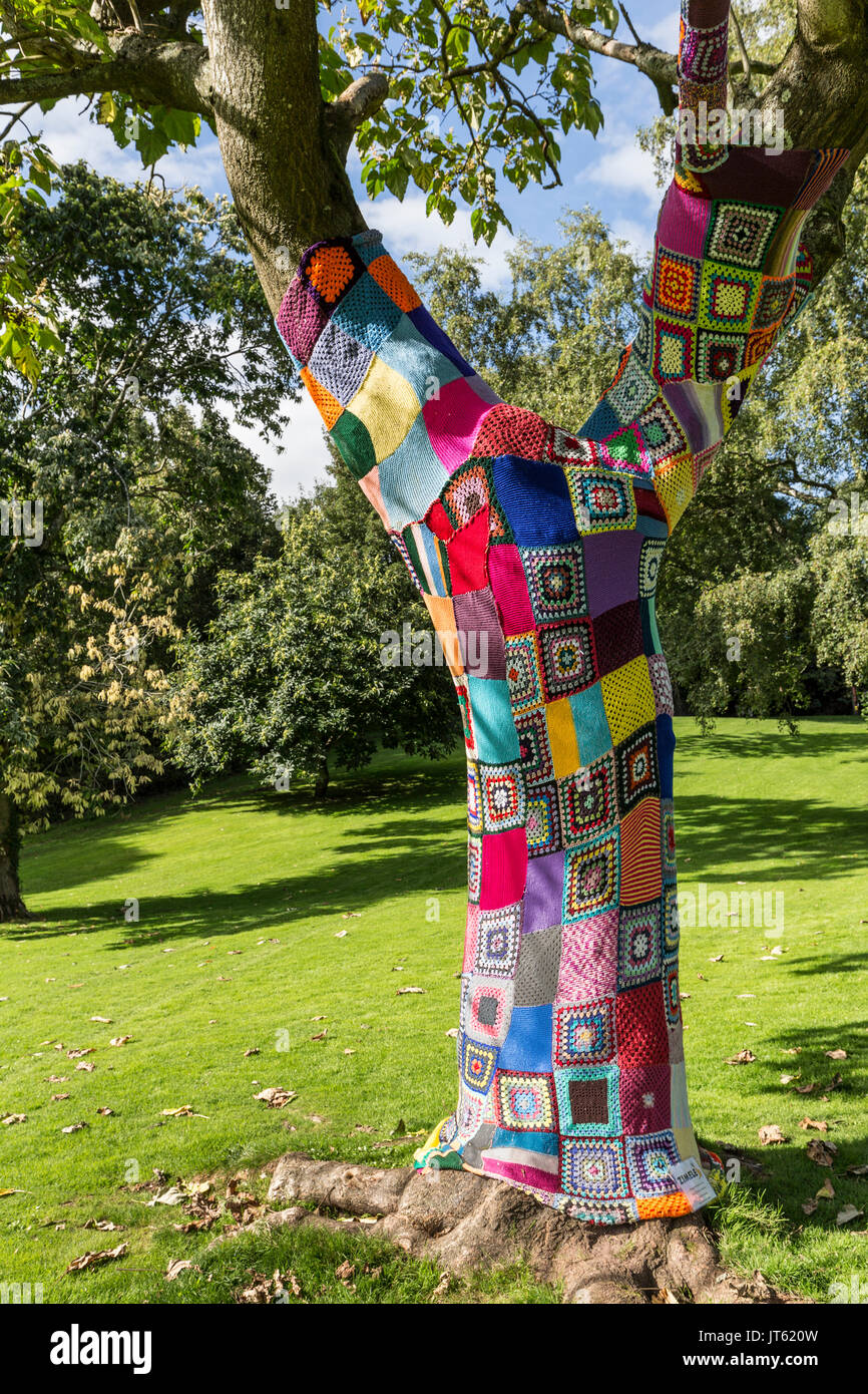 Knitted tree hi-res stock photography and images - Alamy