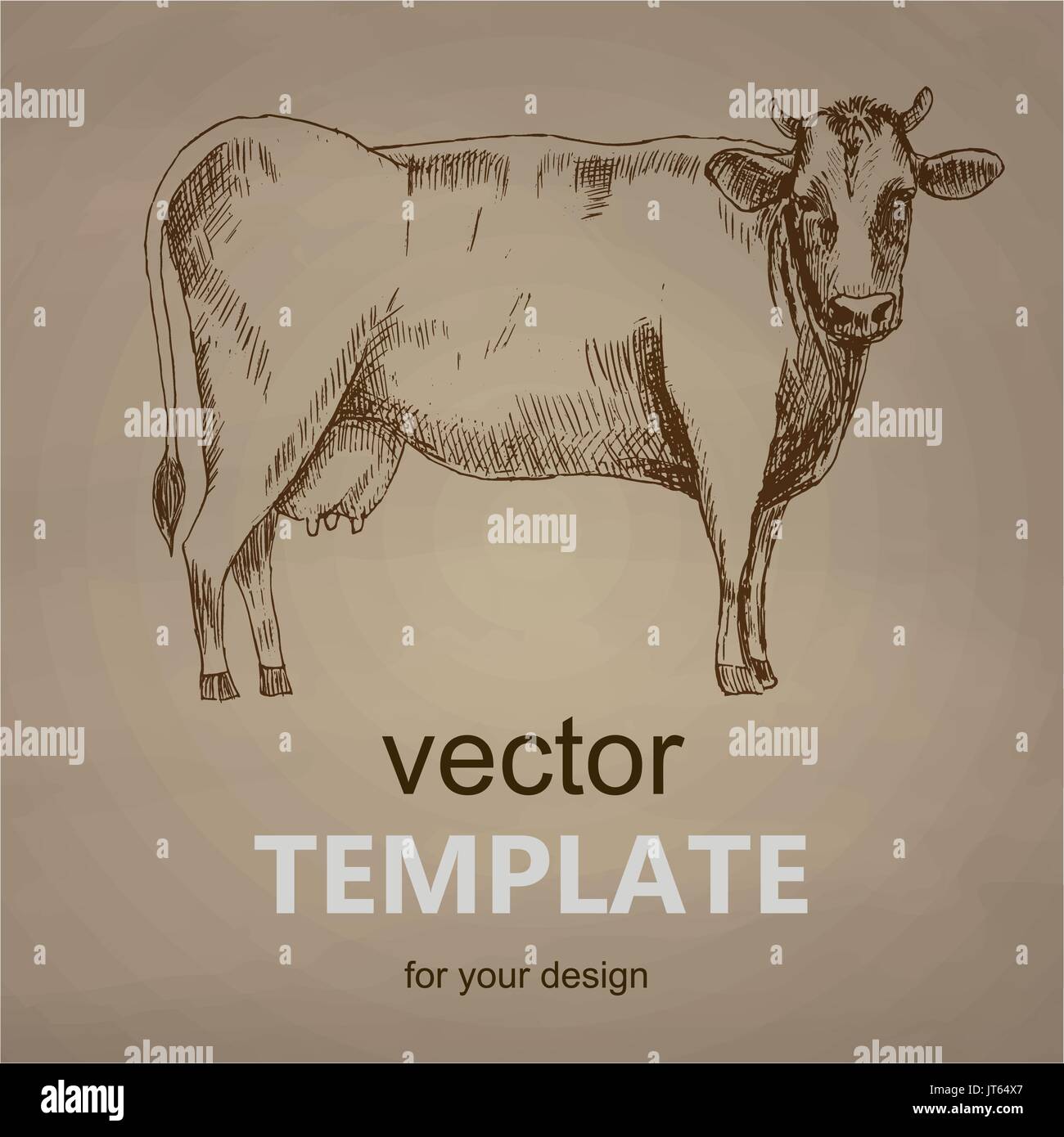 Cow hand drawn vector illustration Stock Vector Image & Art - Alamy