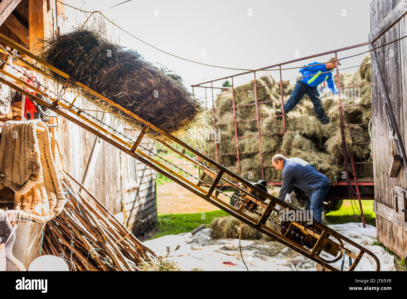 Stacking conveyor hi-res stock photography and images - Alamy