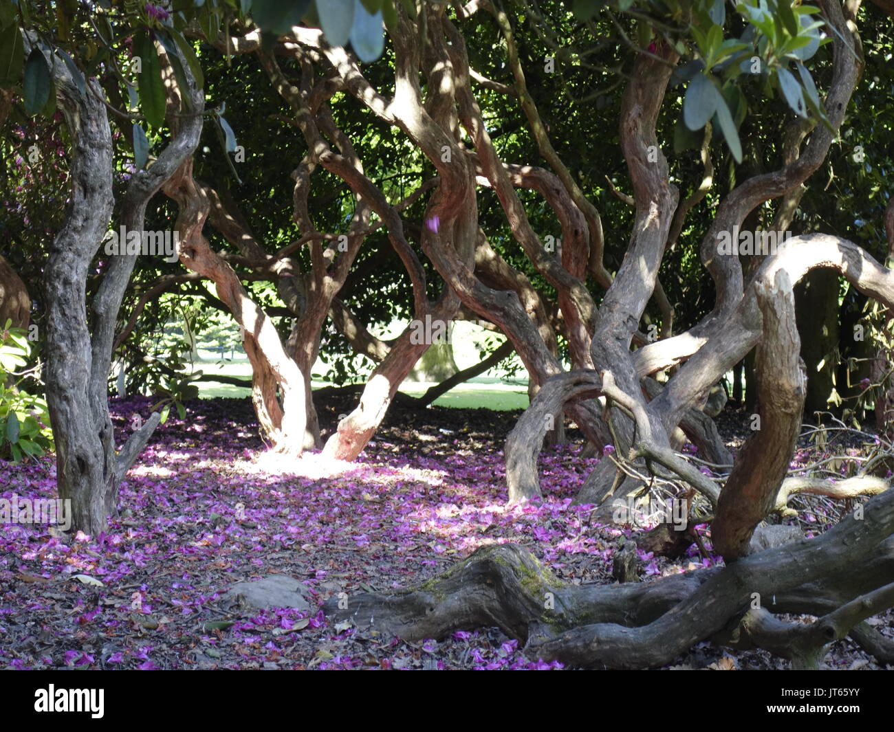 Orc lord of the rings hi-res stock photography and images - Alamy