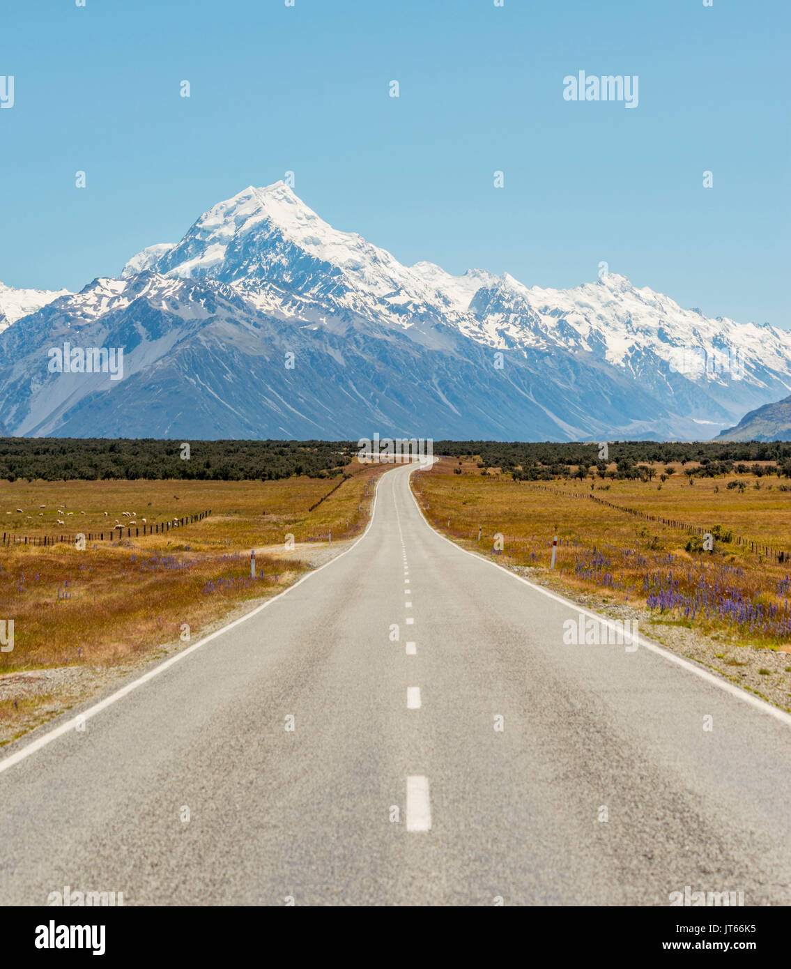 Road with view to Mount Cook, snowy mountains, Mount Cook National Park ...