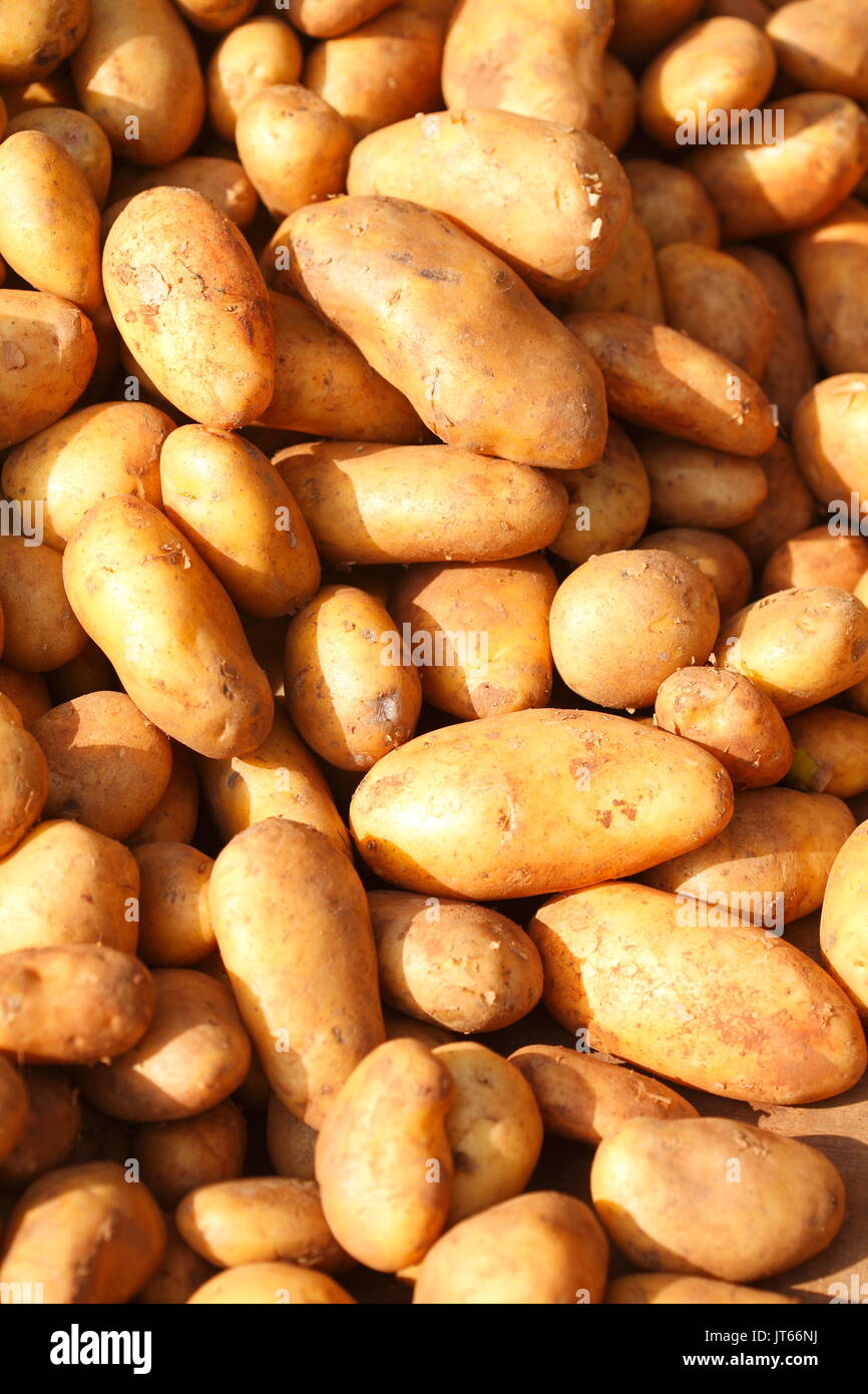 Potato objects High Resolution Stock Photography and Images - Alamy