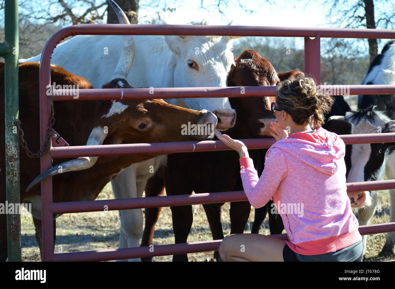 Texas gate ranch hi-res stock photography and images - Alamy