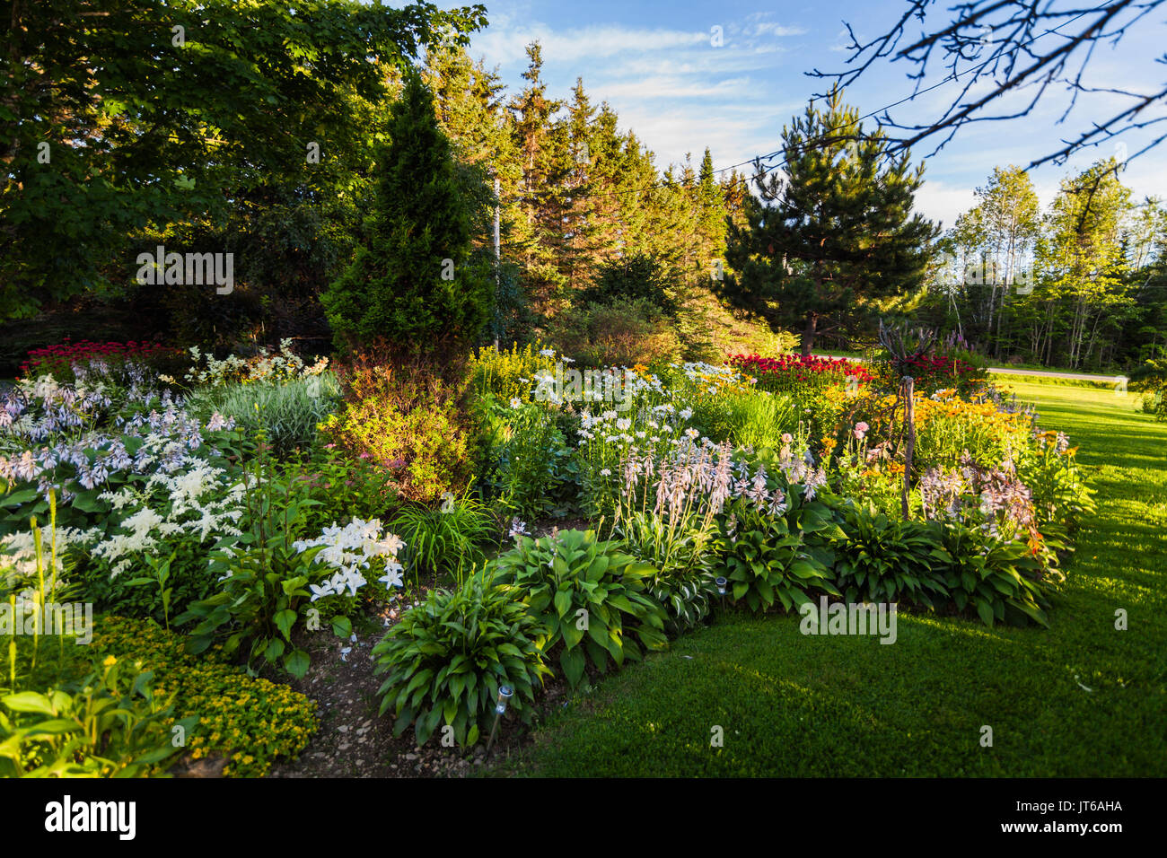 Yark hi-res stock photography and images - Alamy