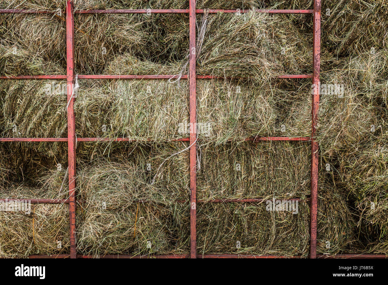 Dry Hay Stacks into a Transportation Truck on a Farmland Stock Photo ...