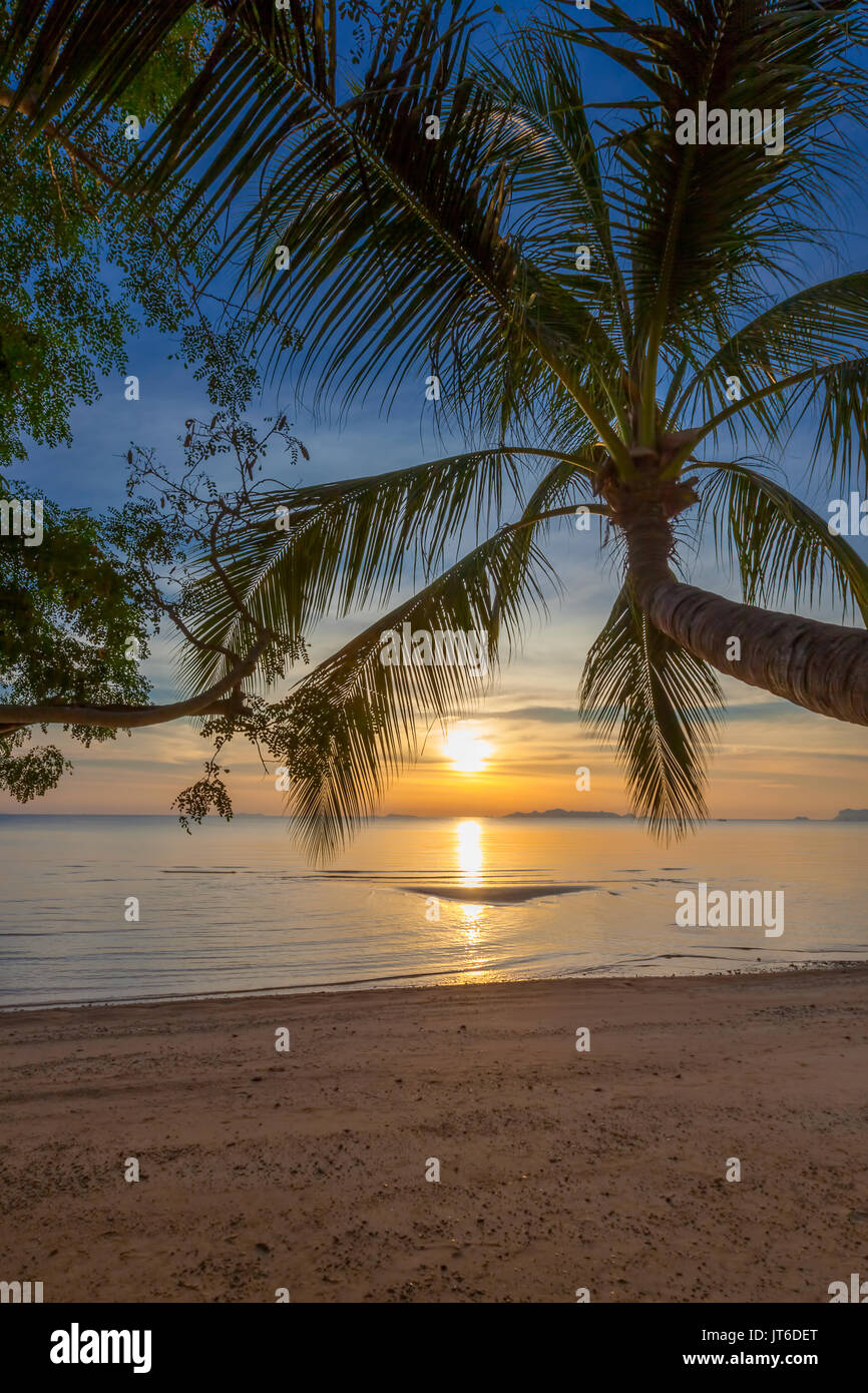 Palm tree silhouette during a colorful tropical sunset at Nathon beach ...