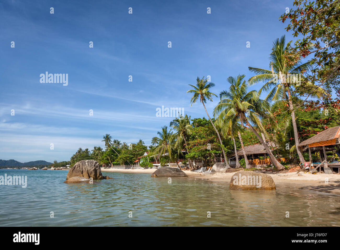 Coconut trees lamai beach koh hi-res stock photography and images - Alamy