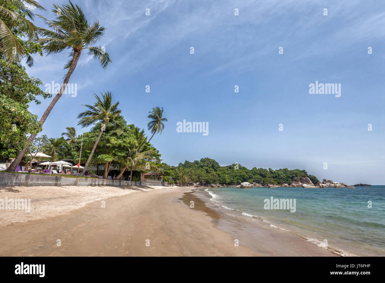 Coconut trees lamai beach koh hi-res stock photography and images - Alamy