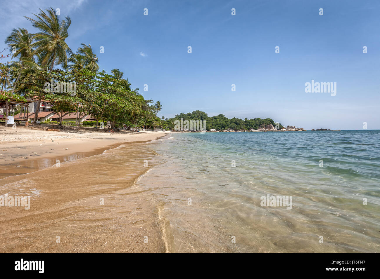 Coconut trees lamai beach koh hi-res stock photography and images - Alamy