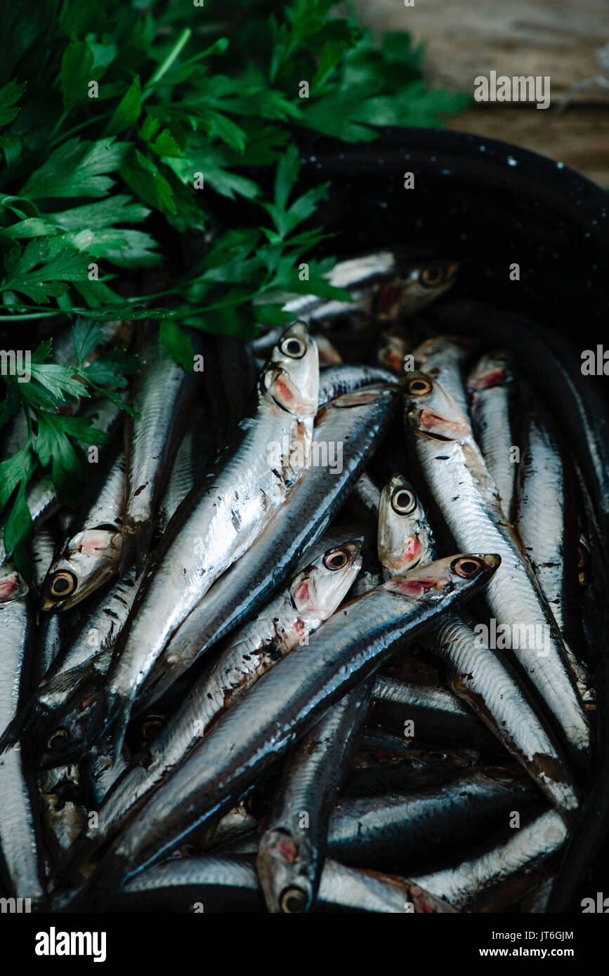 Anchovy pan hi-res stock photography and images - Alamy