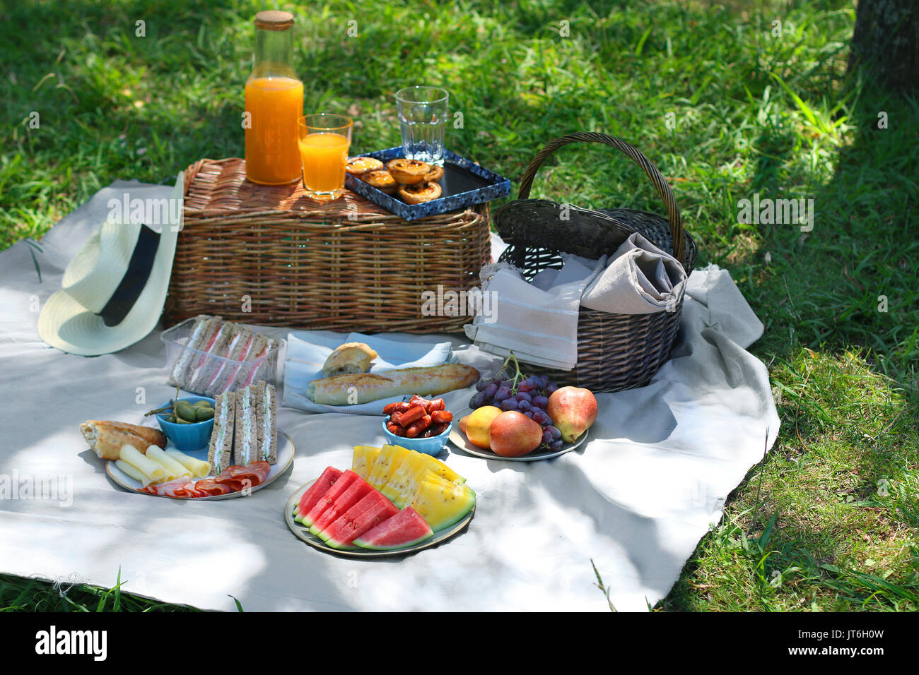 Summertime picnic scene in the park with fresh fruit, sandwiches ...