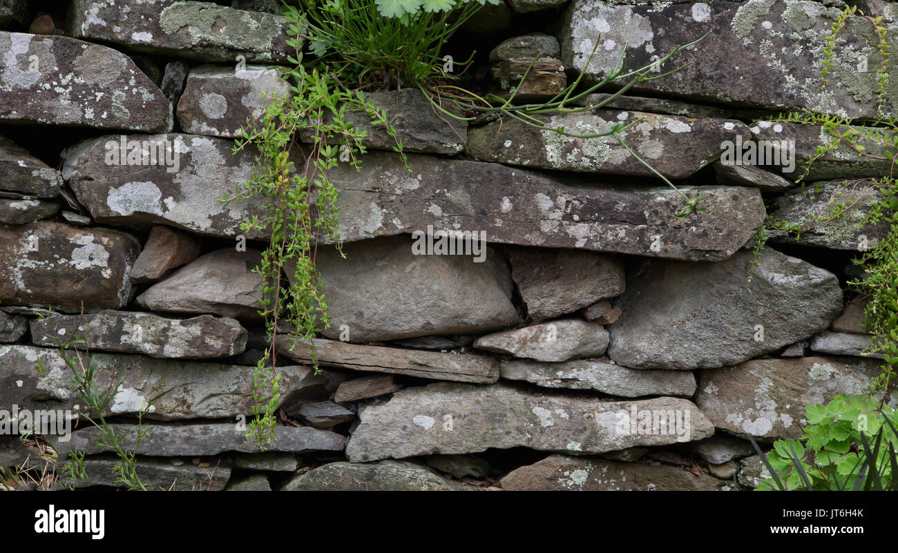 Discolored stone hi-res stock photography and images - Alamy