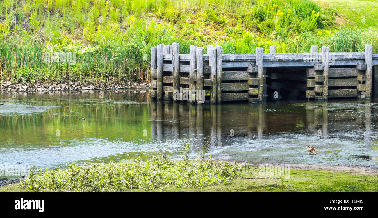 weathered wooden dock with pilings extending into river Stock Photo - Alamy