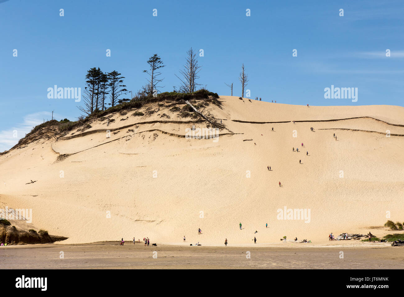 Cape Kiwanda Dune Stock Photo - Alamy