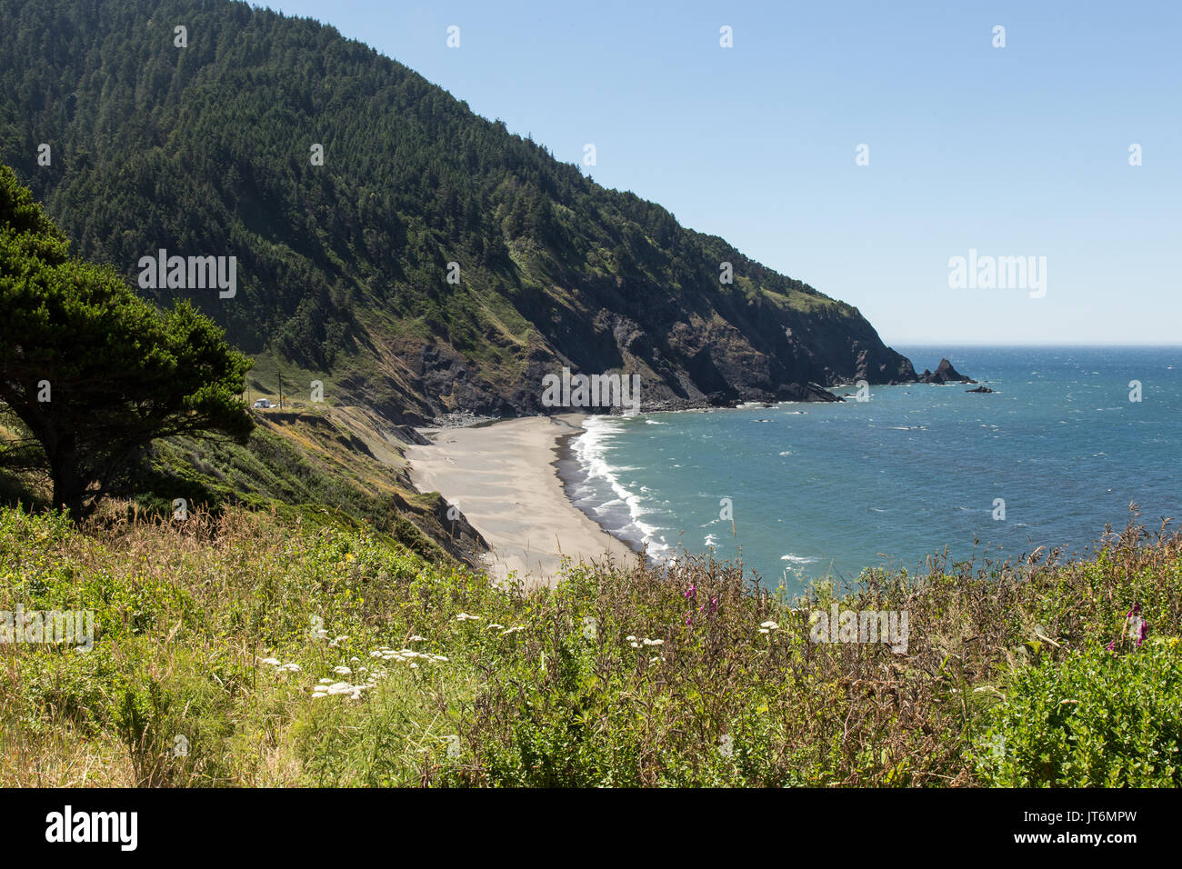 Oregon beach and headland Stock Photo - Alamy