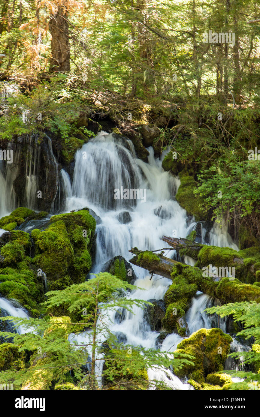Oregon route 138 hi-res stock photography and images - Alamy