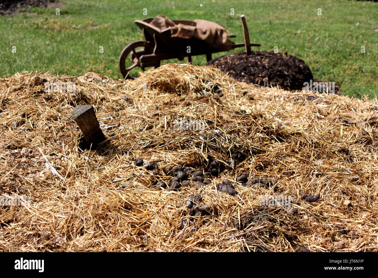 Large pile of straw and manure with wooden wheelbarrow Stock Photo - Alamy