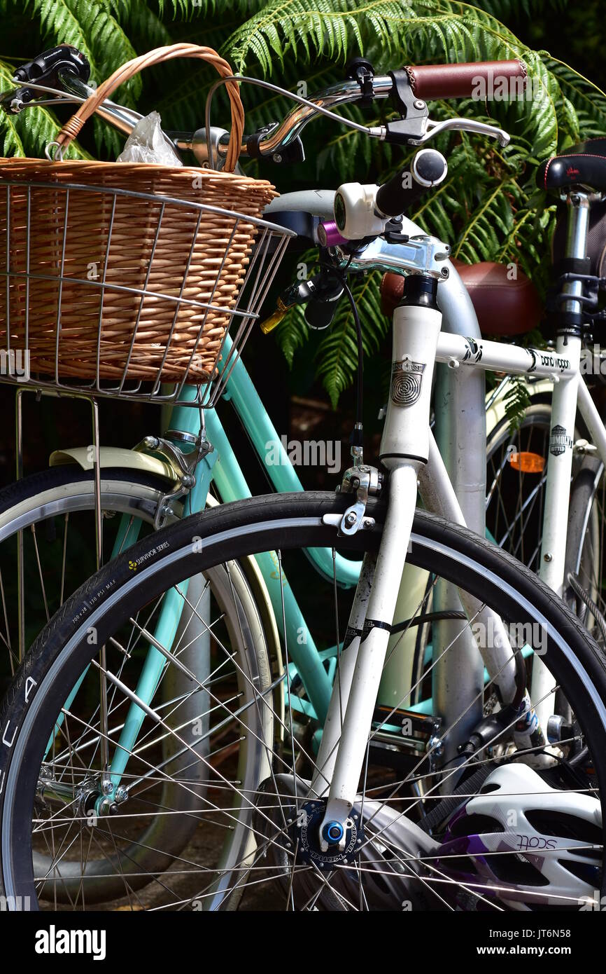 Two retro bicycles leaning up against some greenery Stock Photo - Alamy