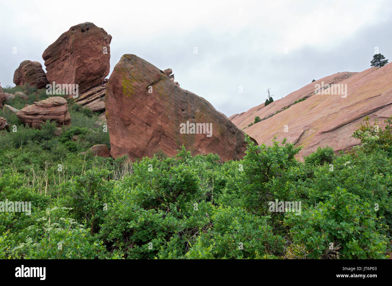 red rocks park outcrops and rocky terrain surrounded by lush vegetation ...