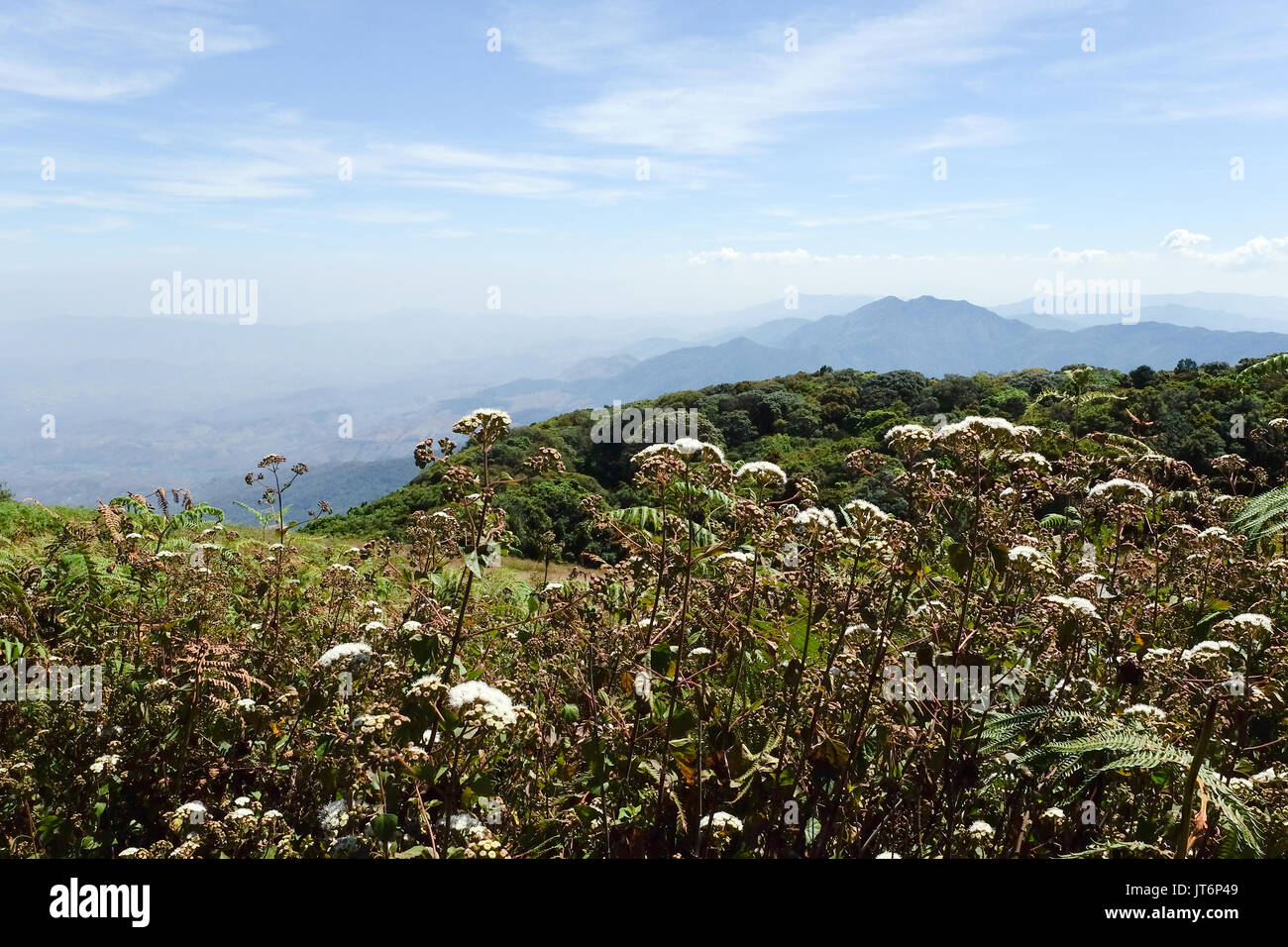 View of Mountains,Kew Mae Pan a nature trail, the highest point in ...