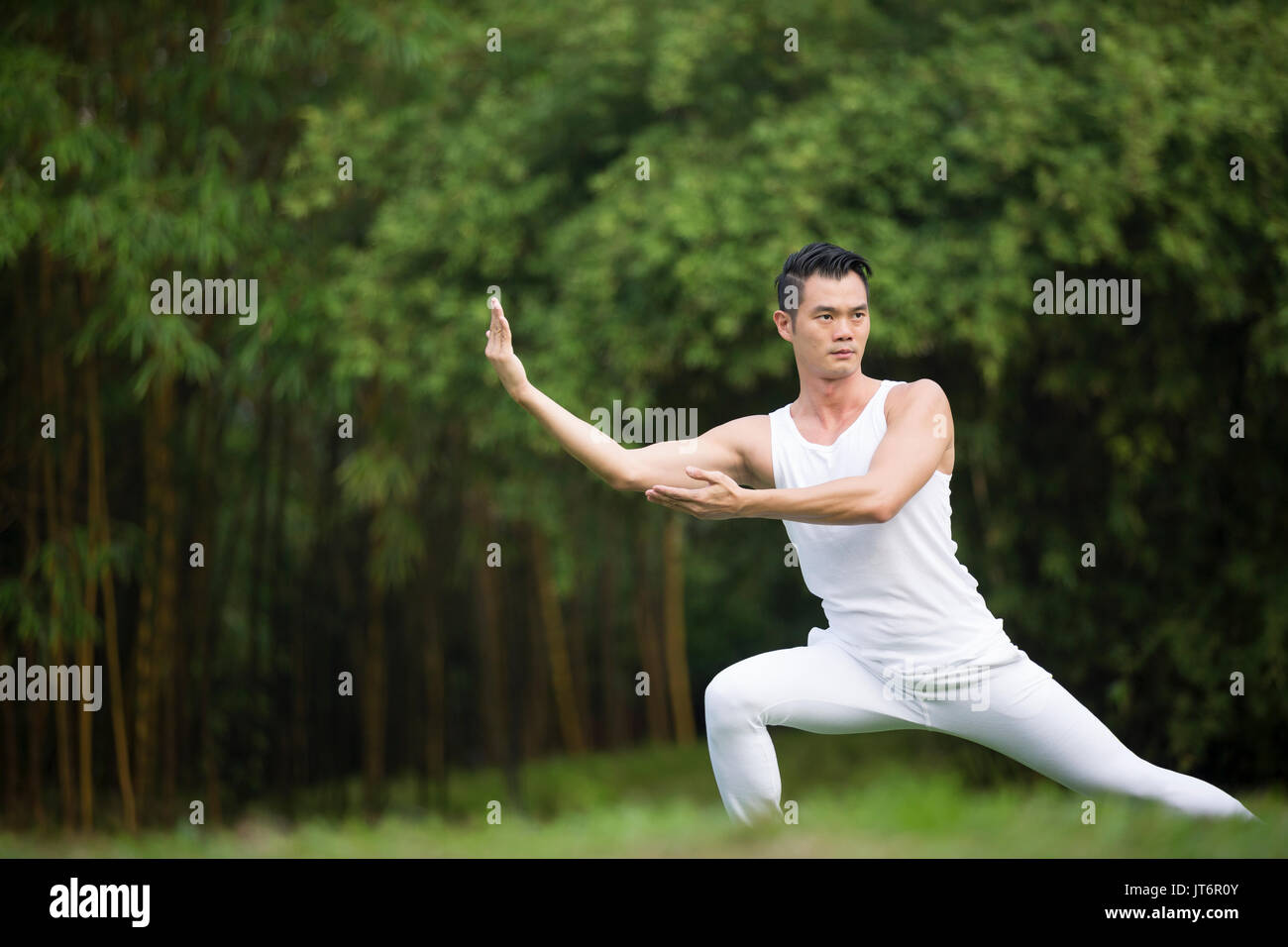 Asian man practicing Tai Chi in a garden. healthy lifestyle and ...