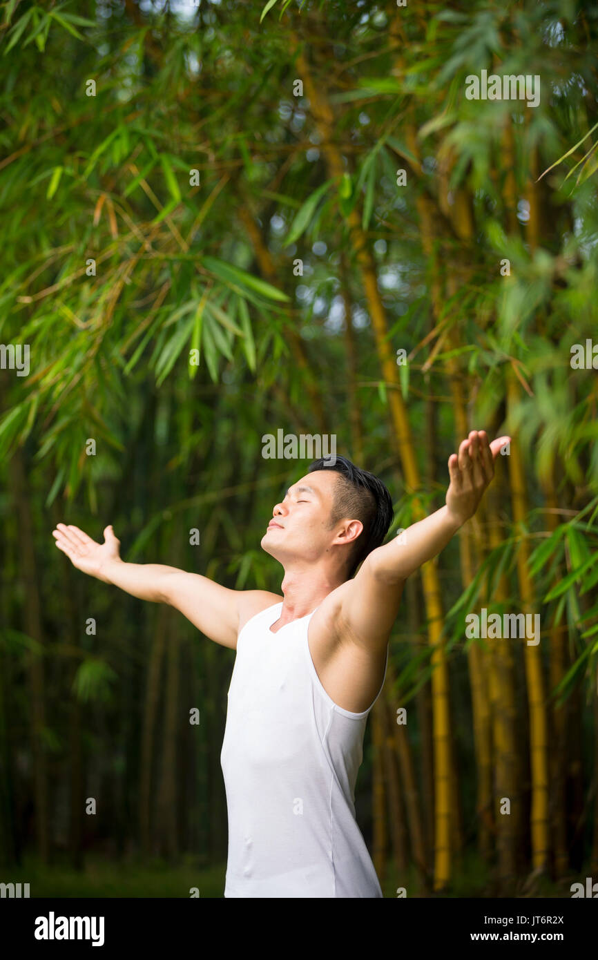 Asian man practicing Tai Chi in a garden. healthy lifestyle and ...