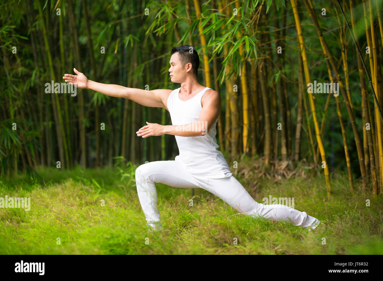 Asian man practicing Tai Chi in a garden. healthy lifestyle and ...