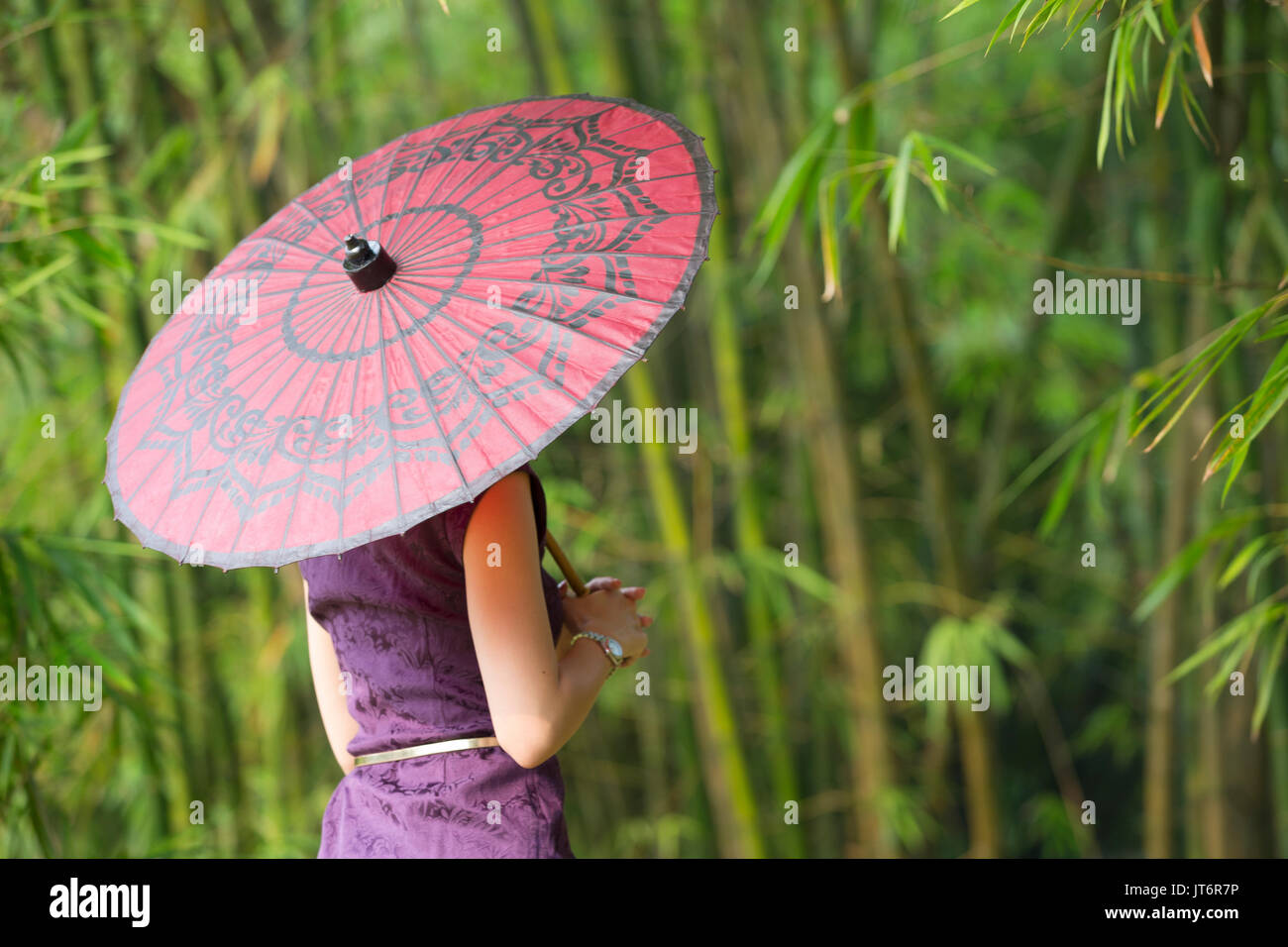 Rear view of a mysterious Chinese Woman wearing a Cheongsam Chinese ...