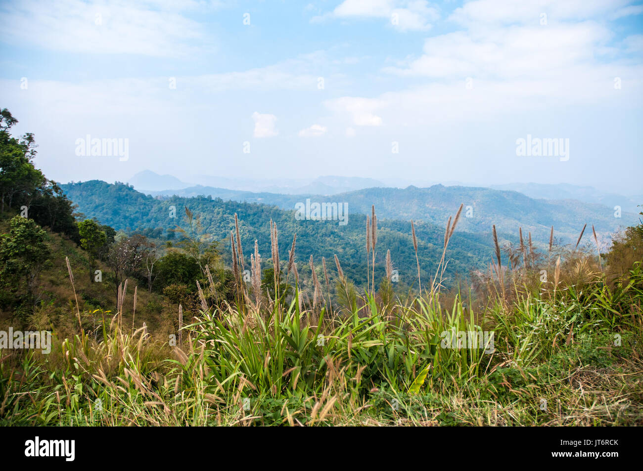 Thailand exploration hi-res stock photography and images - Alamy