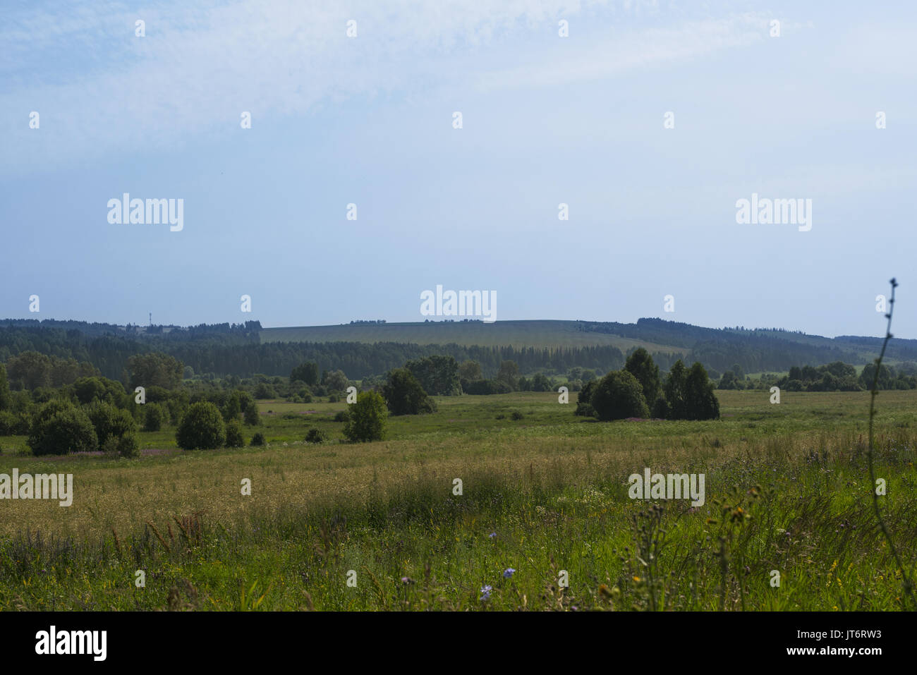 Beautiful Russian summer nature view Stock Photo - Alamy